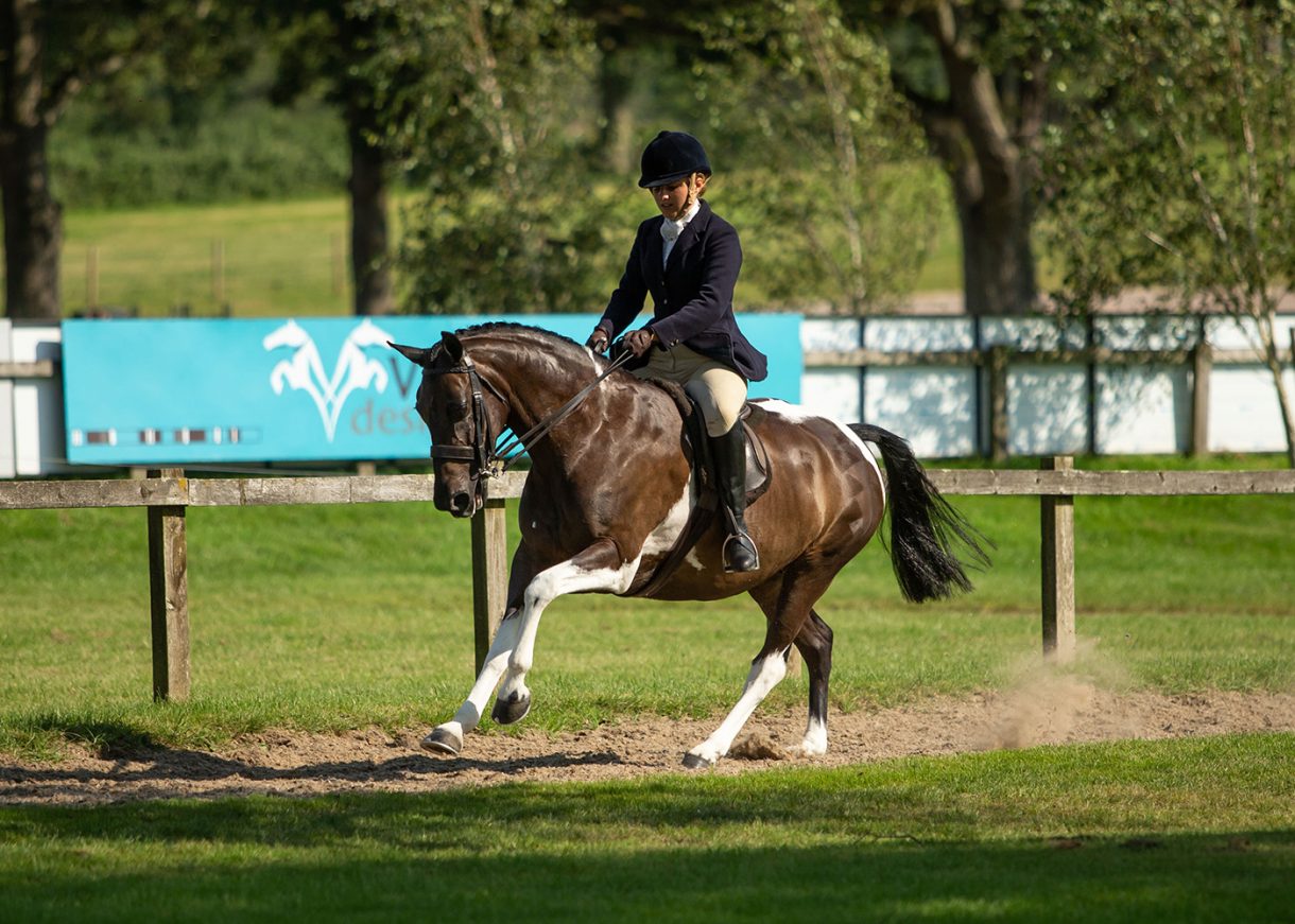 25 show ring stars at the 2021 Royal International Horse Show - Horse ...