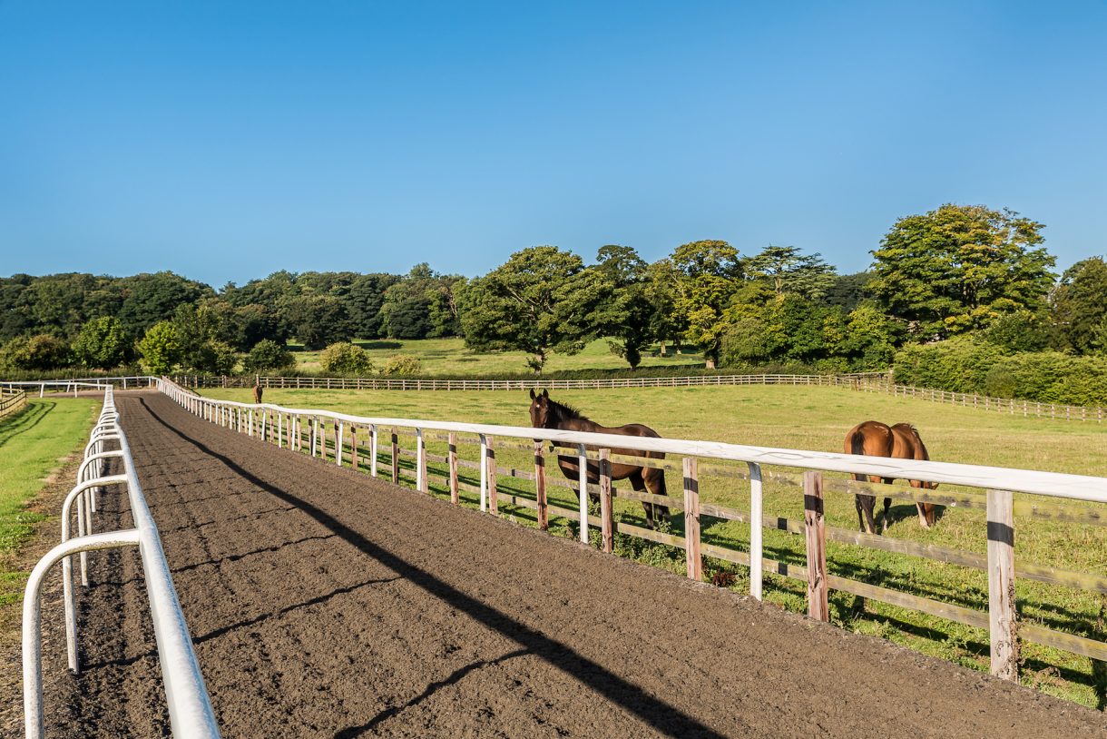 A magnificent equestrian complex which boasts 51 acres, 48 stables ...