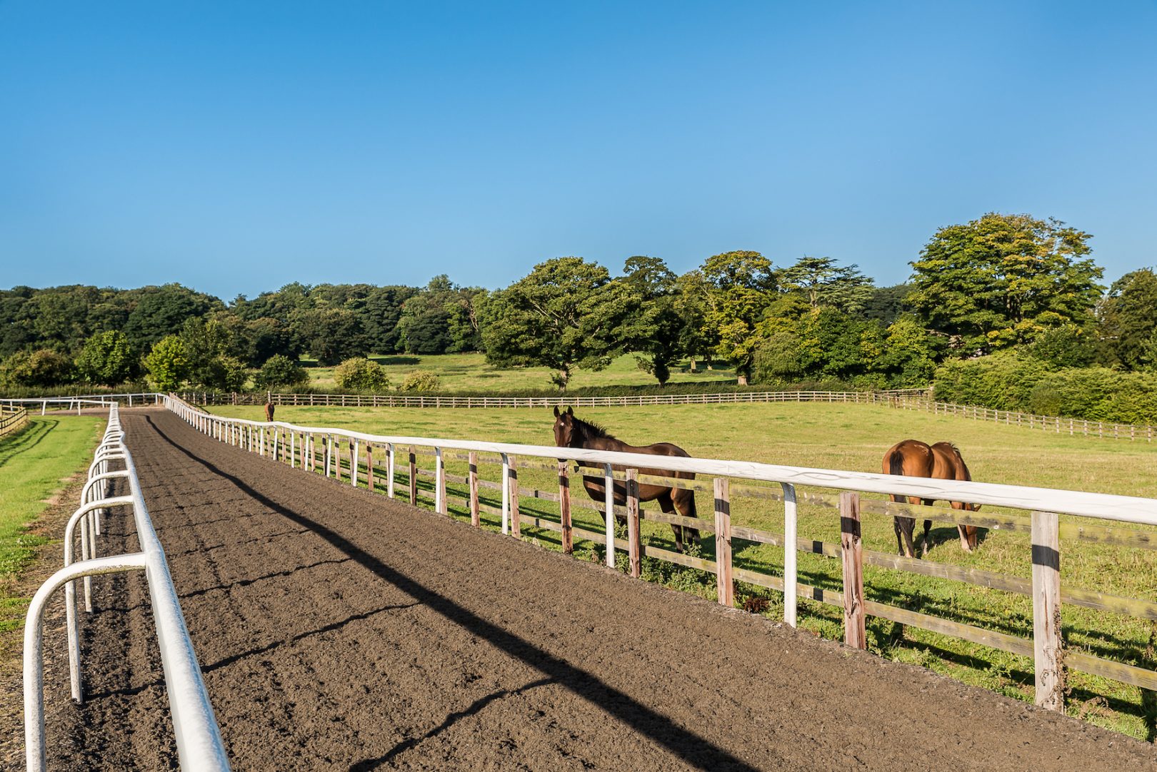 A magnificent equestrian complex which boasts 51 acres, 48 stables ...