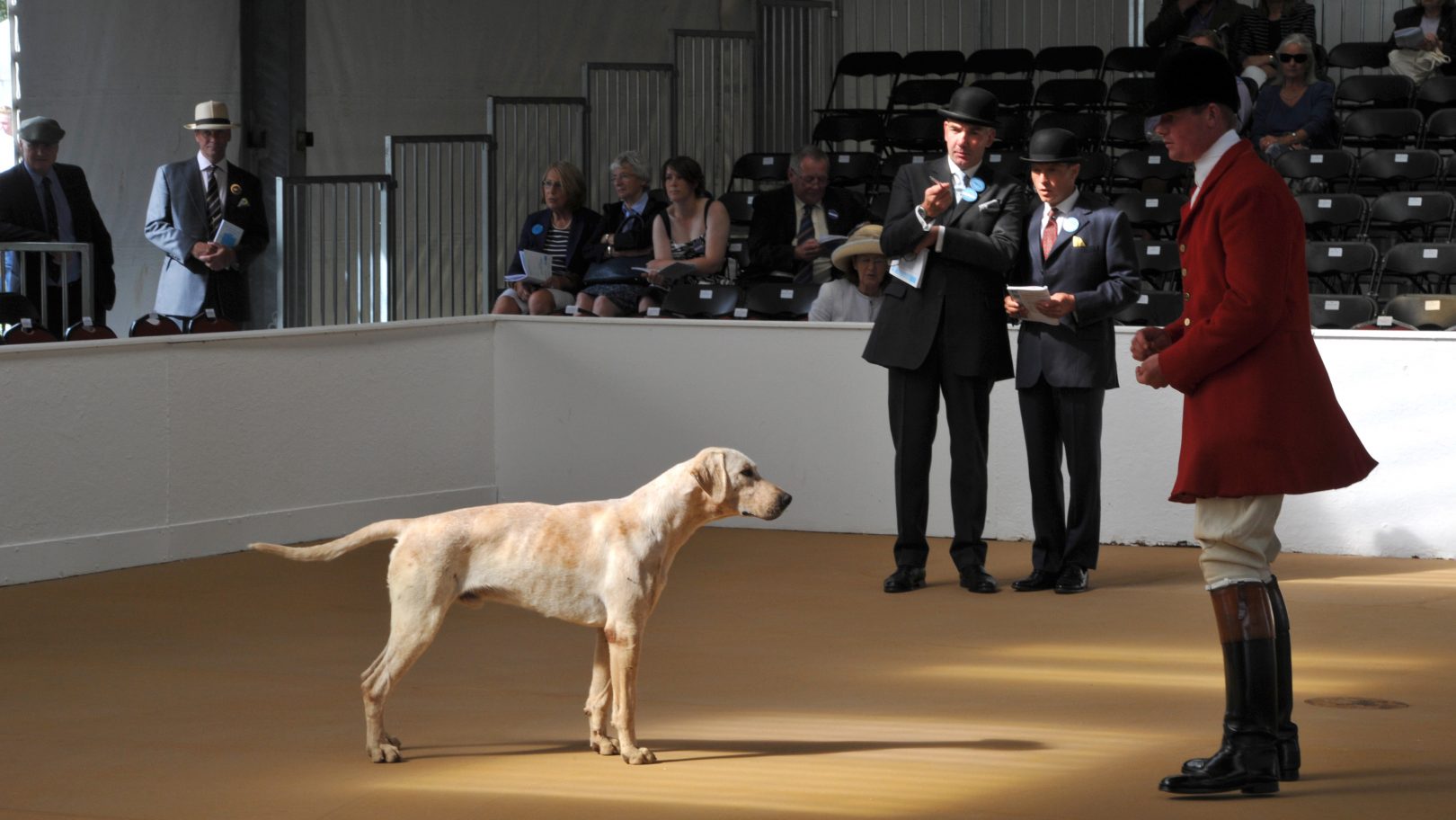How the Peterborough Royal Foxhound Show judges are selected - Horse ...