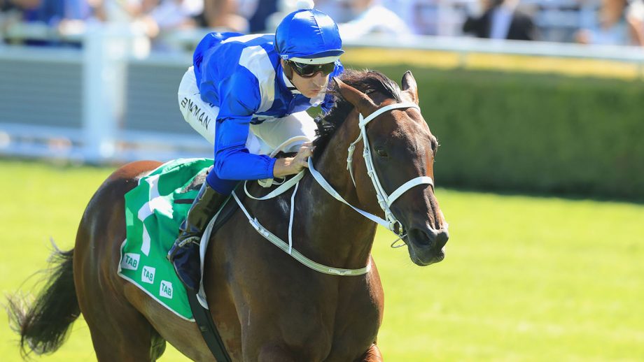 Famous racehorses: 15 of the best of all time | Horse & Hound