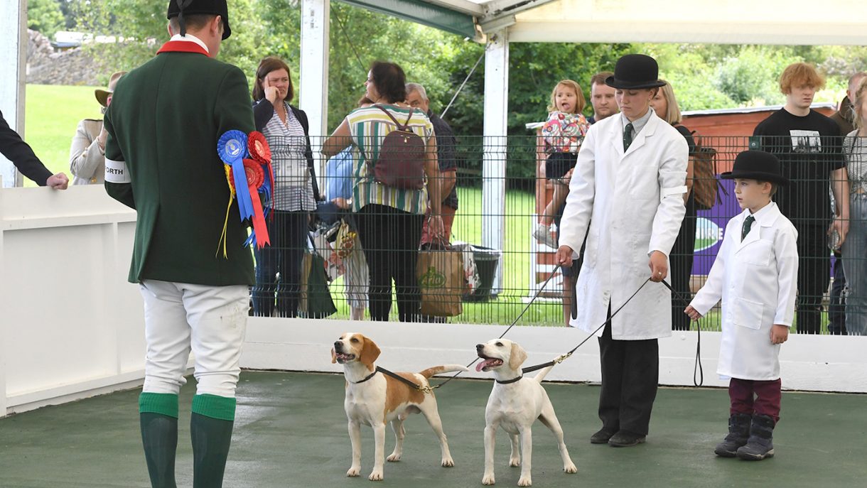 Two ‘exceptional’ champions for the Waveney at the Great Yorkshire ...