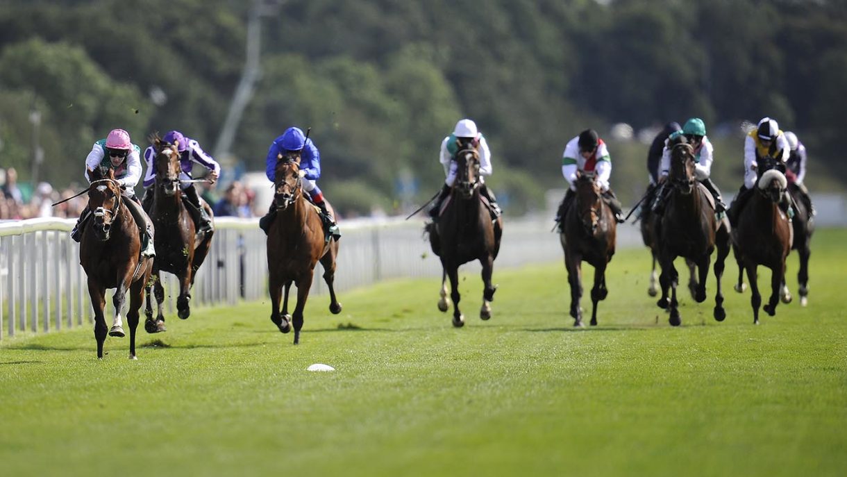 Frankel – an incredible tale of an unbeaten horse and his legendary ...