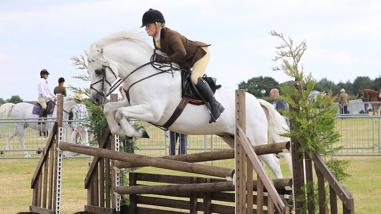 Royal Cheshire County Show 2021 results | Horse & Hound
