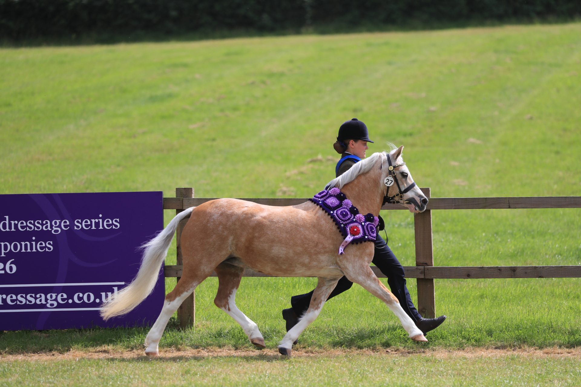 World’s oldest pony has died aged 56 - Horse & Hound