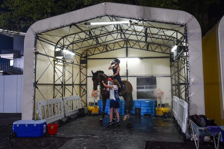 Olympic event horses preparing in Tokyo including British team members
