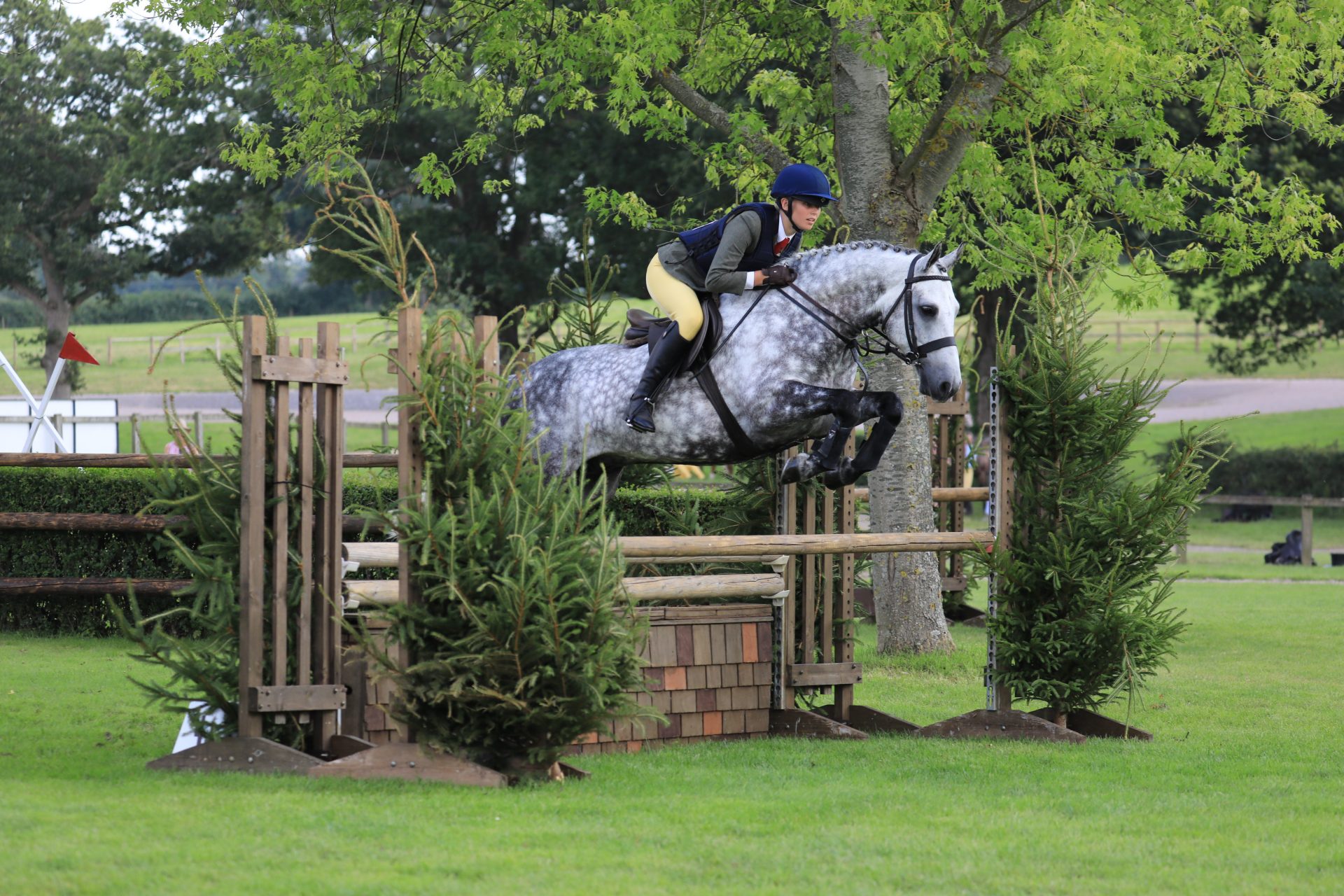 ‘It’s a real family effort’: Amateur team score working hunter pony ...