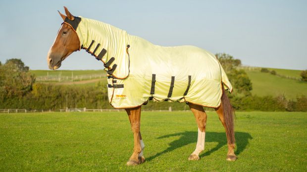 Best sweet itch rugs to help manage the condition | Horse & Hound