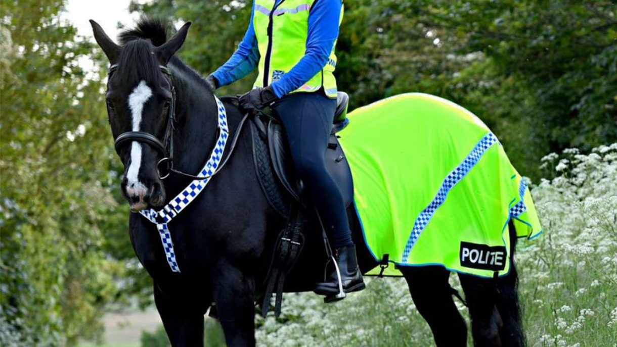Hi viz for horses – a wide range of options and ideas | Horse & Hound