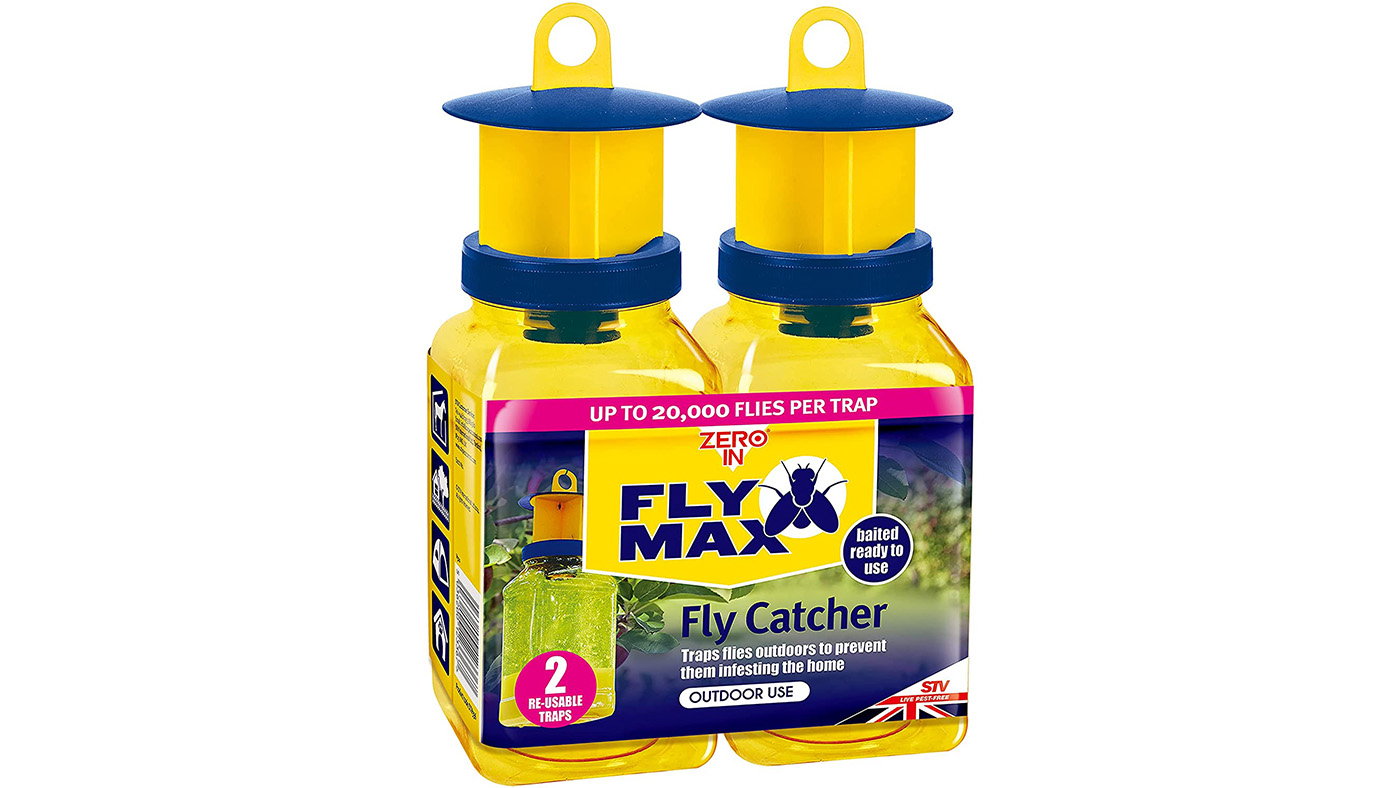 Horse flies: how to avoid them plus how to treat horse fly bites