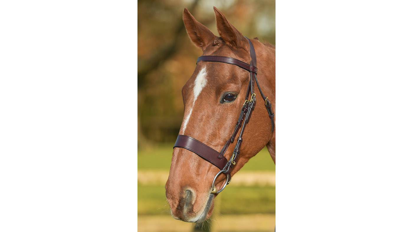 Best bridles for everyday riding and competition | Horse & Hound