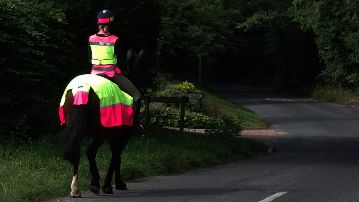 Hacking horses: what does it mean and why you do it | Horse & Hound