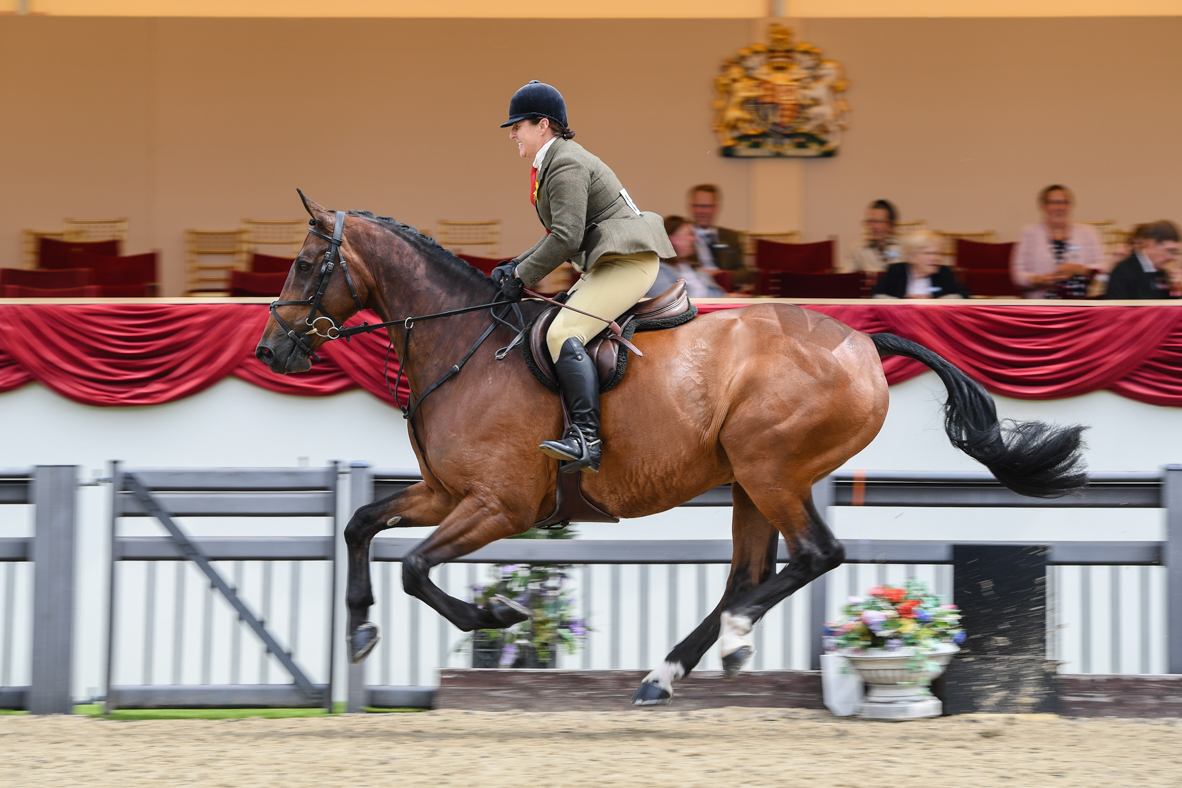 2021 Royal Windsor working hunter championship - Horse & Hound
