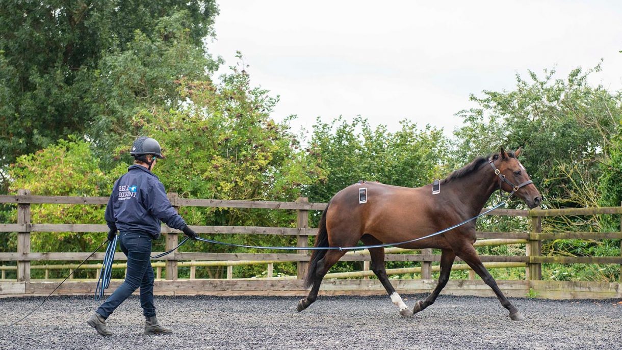 All about interval training - Horse & Hound