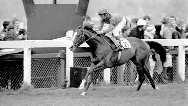 Famous racehorses: 15 of the best of all time | Horse & Hound