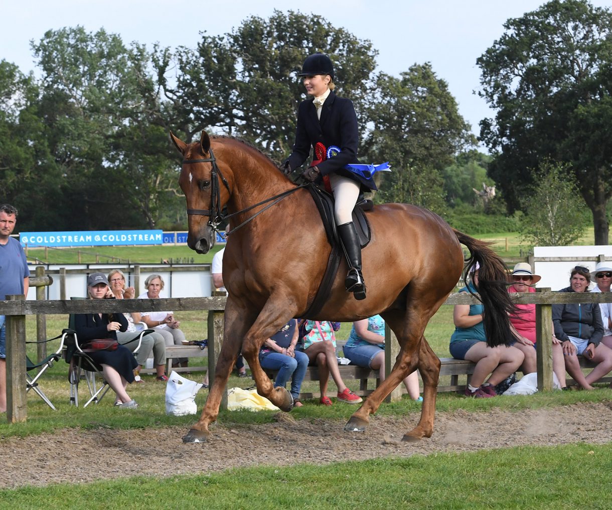Who reigned in the amateur hunter classes at the 2021 Royal ...