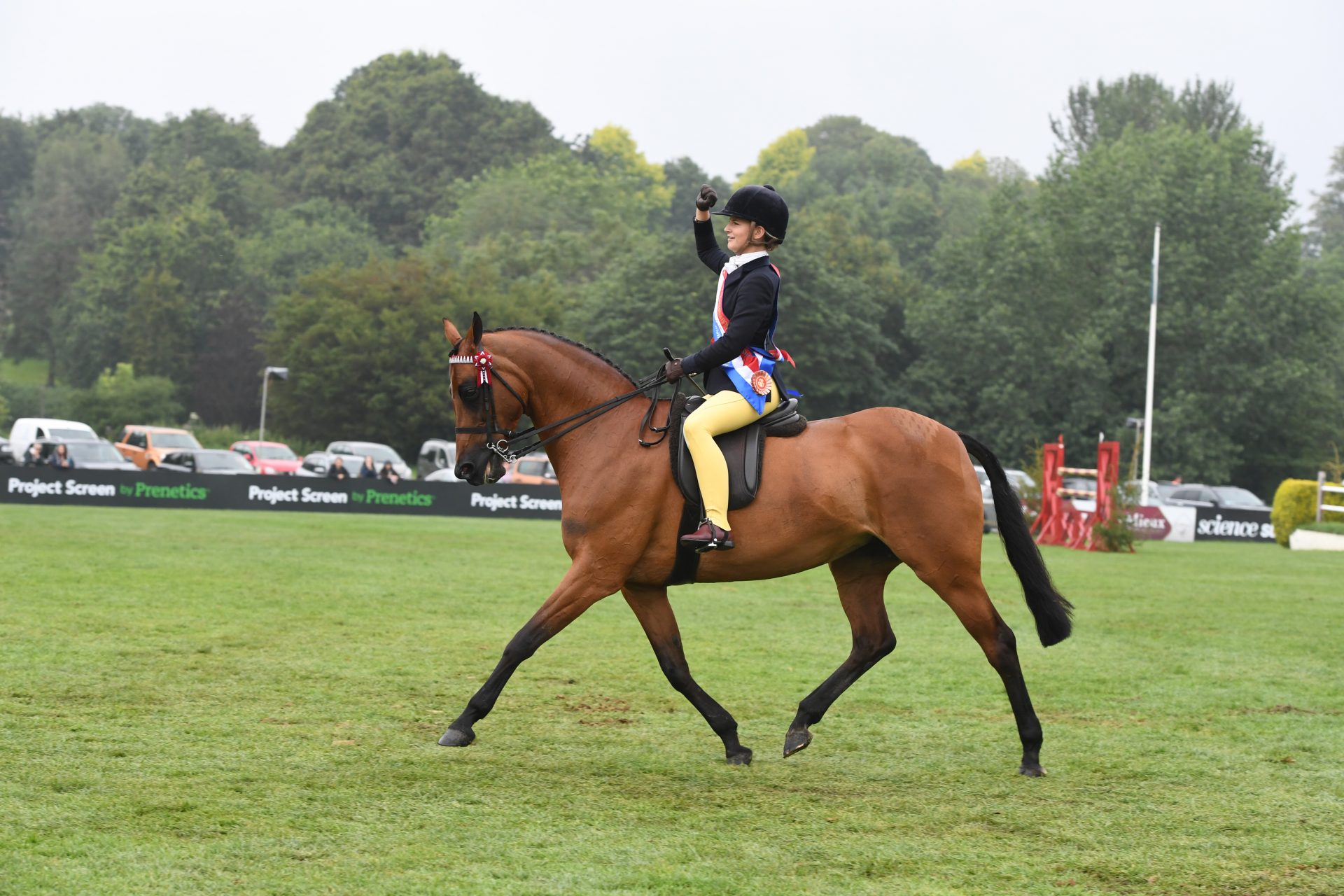 Royal International Horse Show (RIHS) at Hickstead | Horse & Hound
