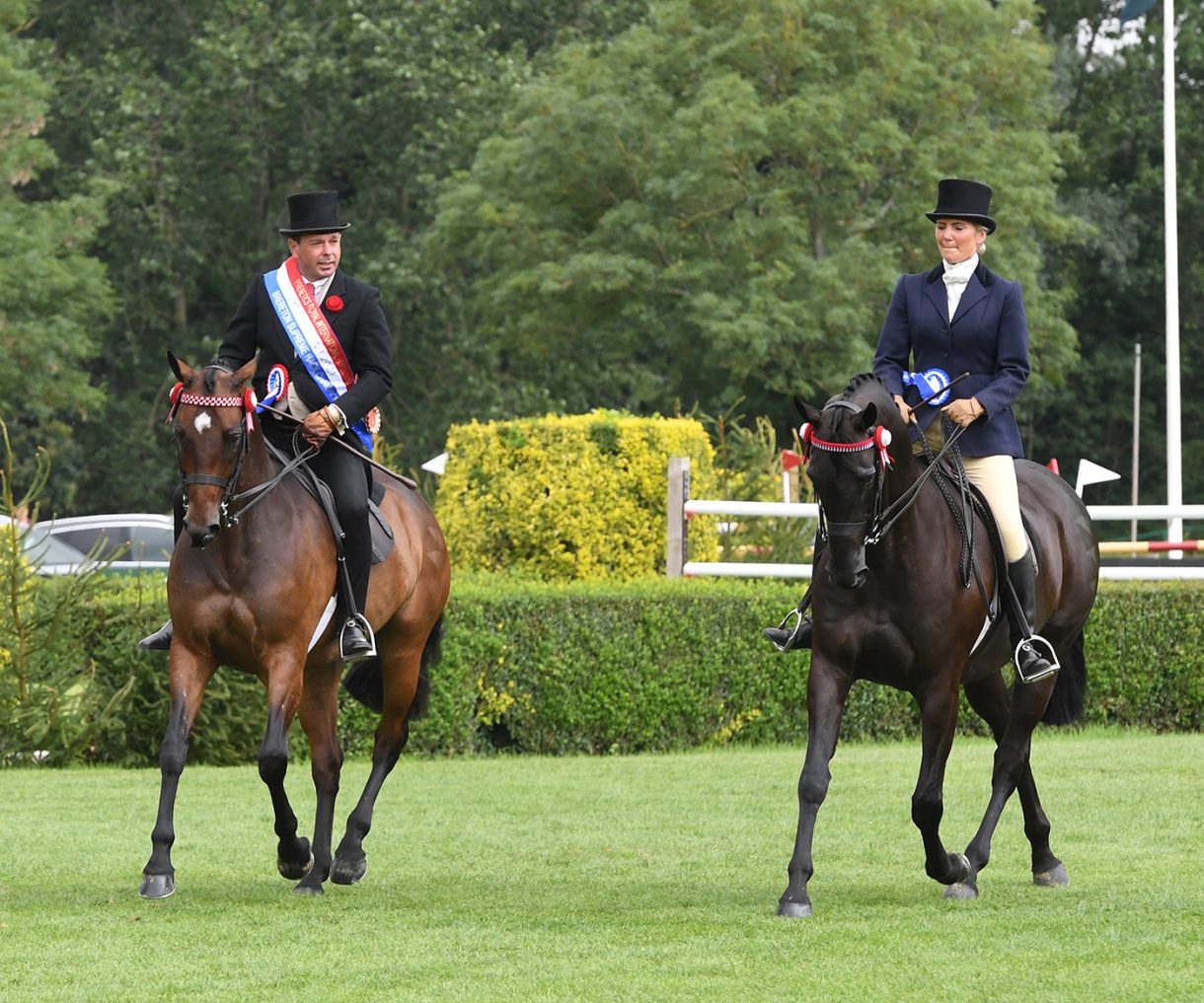 Robert Walker: British showman and horse producer