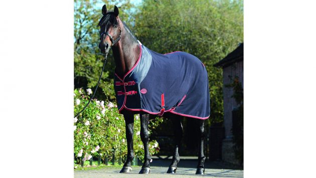 Types of horse rugs: how to decide which rug your horse needs
