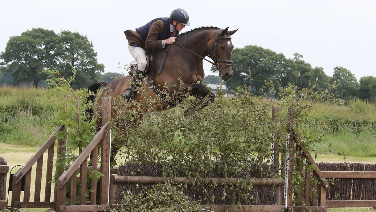 Royal Cheshire County Show 2021 results | Horse & Hound