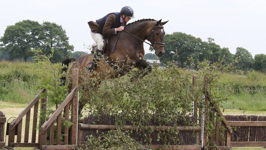 Royal Cheshire County Show 2021 results | Horse & Hound