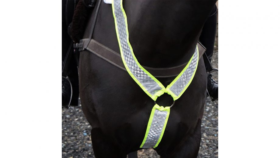 Hi viz for horses – a wide range of options and ideas | Horse & Hound