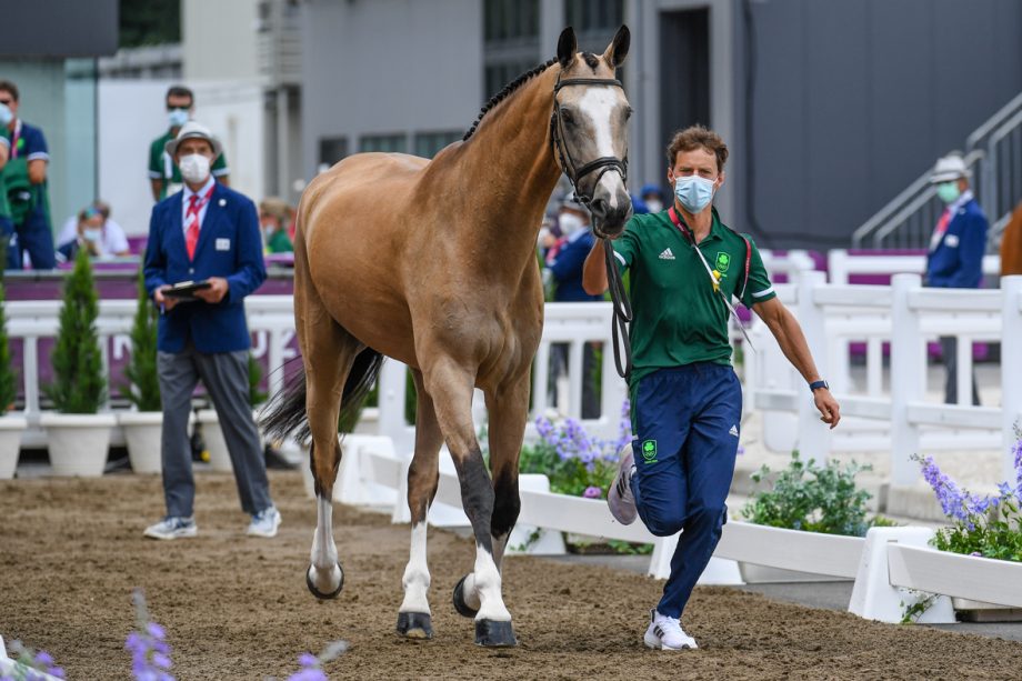 Olympic eventing first trot-up pictures: Brits, jumpsuits and more