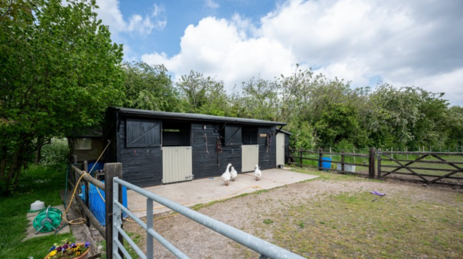 Live by the sea in a three-bedroom home, complete with paddocks ...