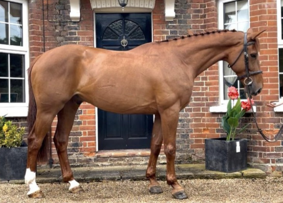 Don’t want to miss out on anything? These brilliant all-rounders could ...