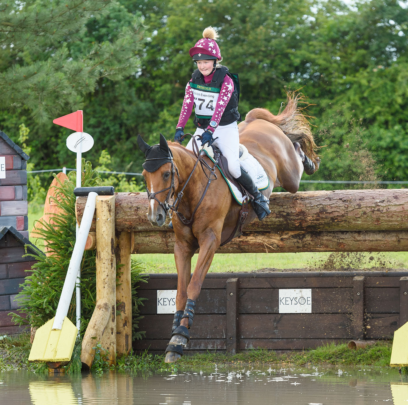 Sandman enjoys a sweetener in the CCI3*-S at Keysoe (2) *H&H Plus ...