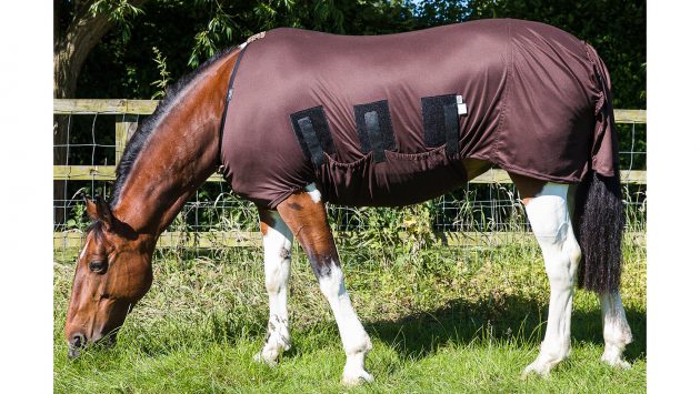 Best sweet itch rugs to help manage the condition | Horse & Hound
