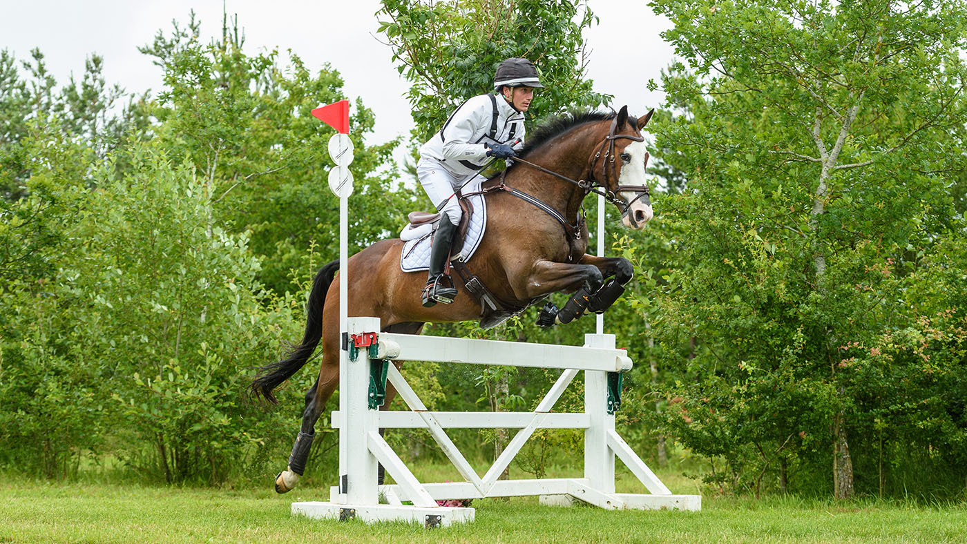 Sandman enjoys a sweetener in the CCI3*-S at Keysoe (2) *H&H Plus ...