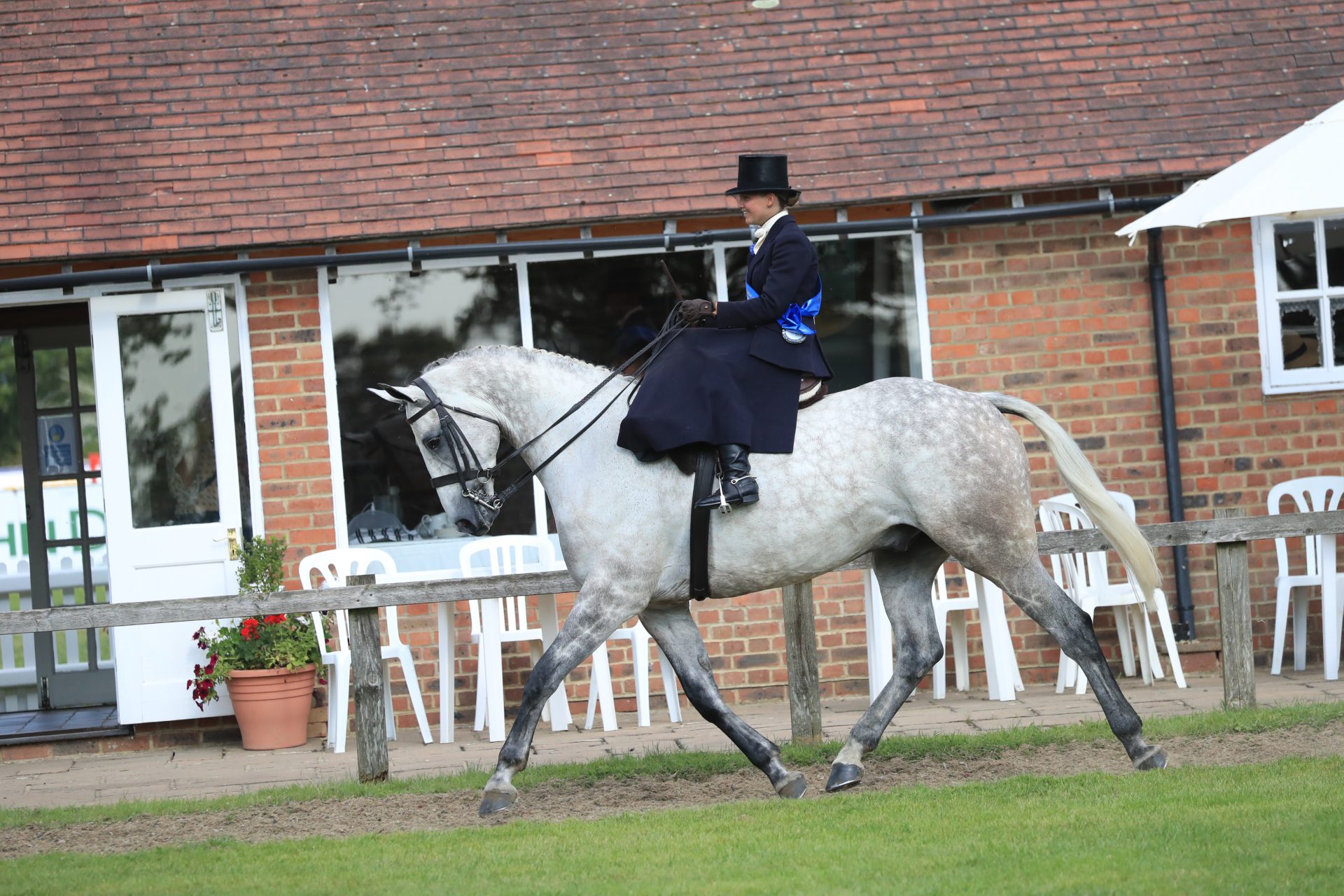 ‘He’s just a gorgeous horse’: 19-year-old rider heads strong ladies ...