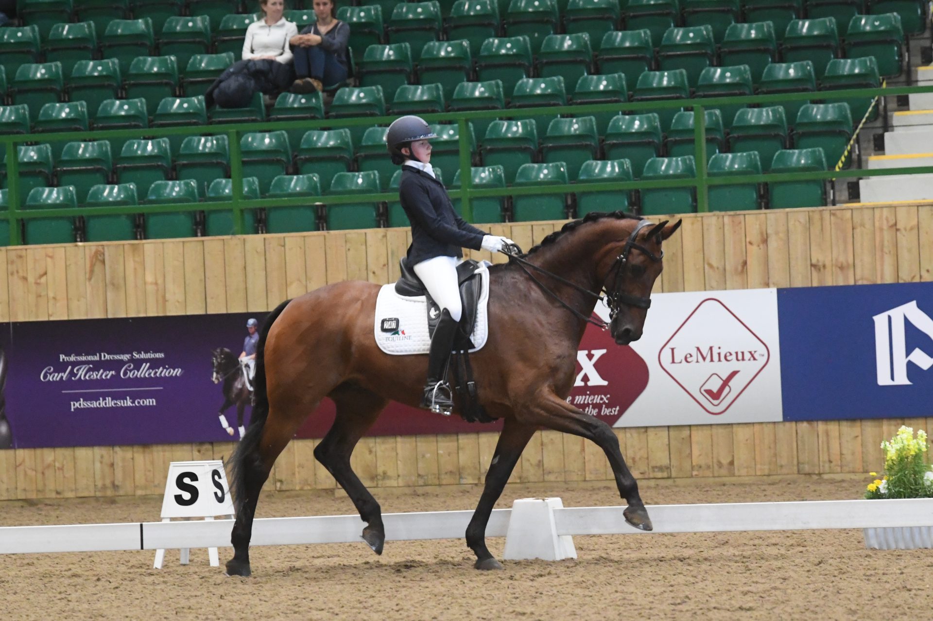 Lelegro: Valegro’s first full brother is born - Horse & Hound