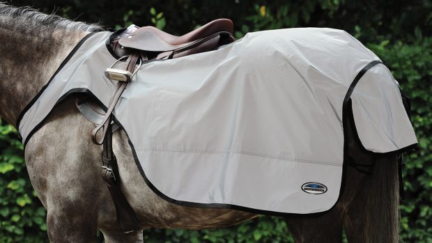 Best exercise sheets for horses in a range of styles | Horse & Hound