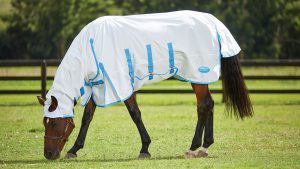 Best sweet itch rugs to help manage the condition | Horse & Hound