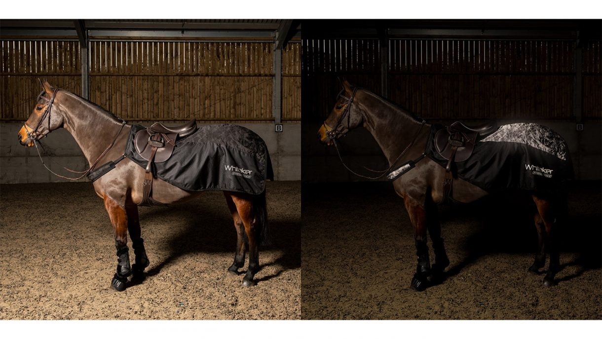 Hi viz for horses – a wide range of options and ideas | Horse & Hound