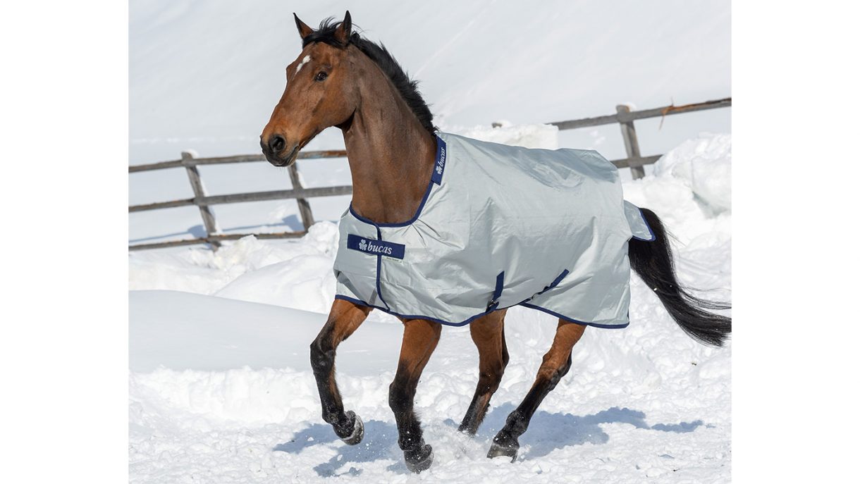 Best medium weight turnout rugs for horses | Horse & Hound