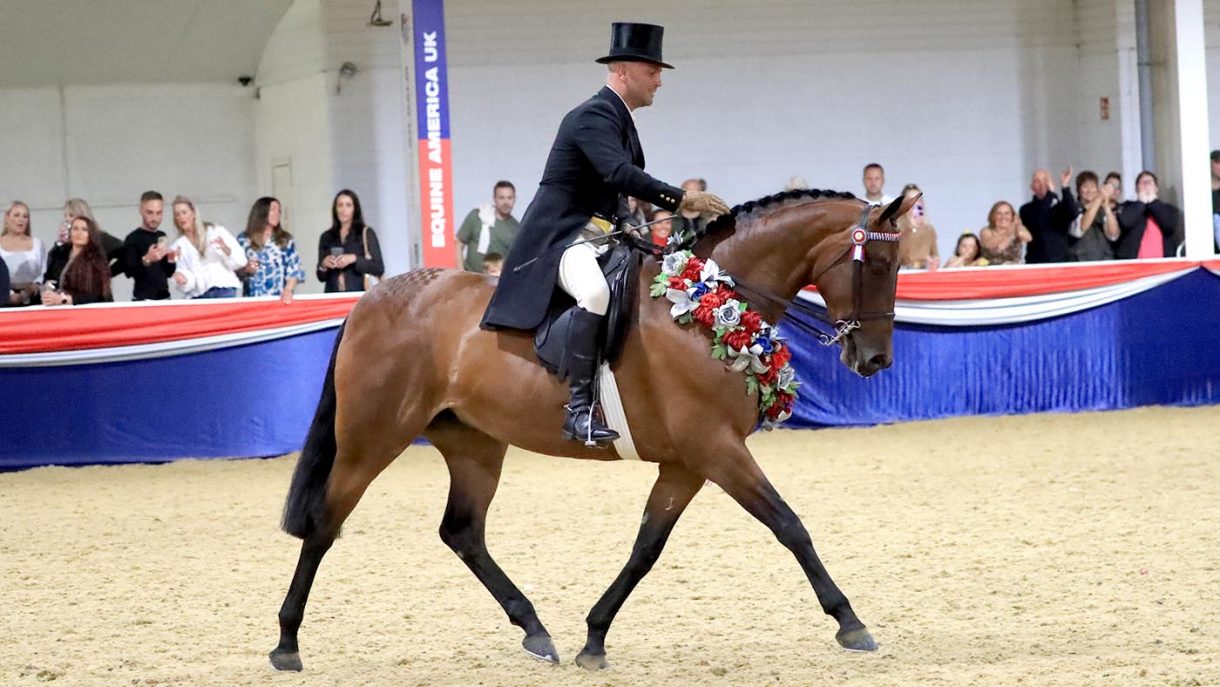 UK Nationals showing show: first lady leads stellar field | Horse & Hound