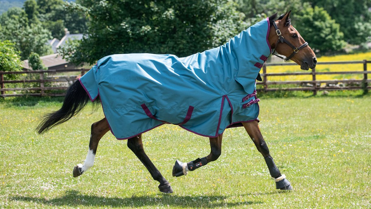Best heavyweight turnout rugs for all budgets | Horse & Hound