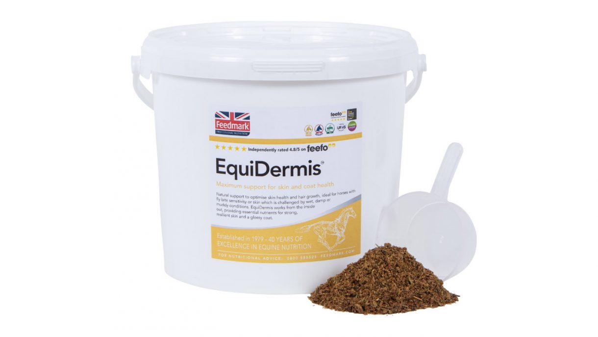 Best skin and coat supplements for horses: what’s available?