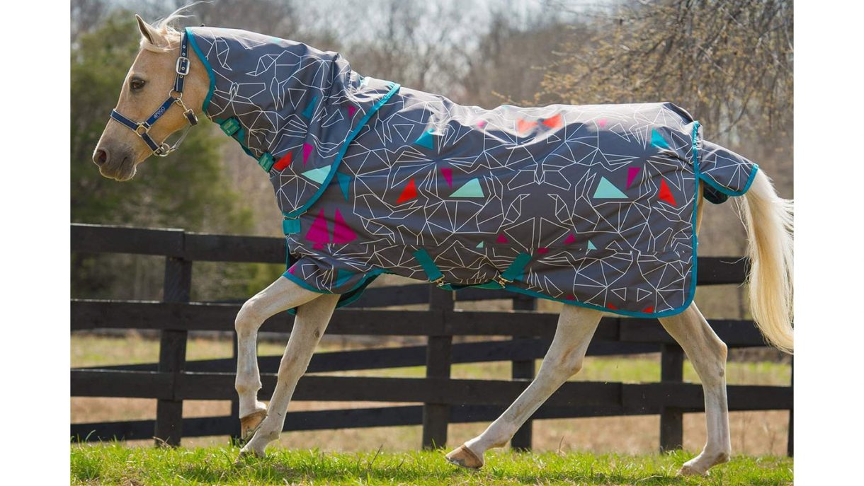 Patterned horse rugs to feast your eyes on | Horse & Hound