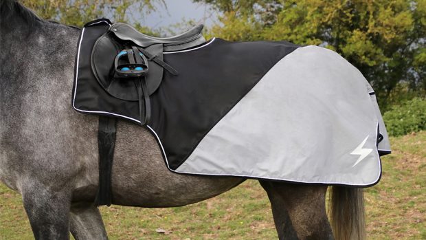 Best exercise sheets for horses in a range of styles | Horse & Hound