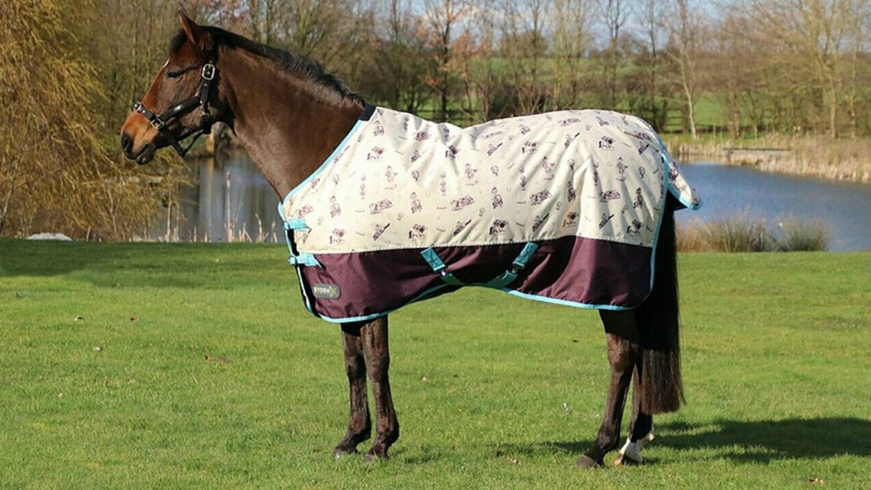 Patterned horse rugs to feast your eyes on | Horse & Hound