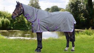 Best heavyweight turnout rugs for all budgets | Horse & Hound