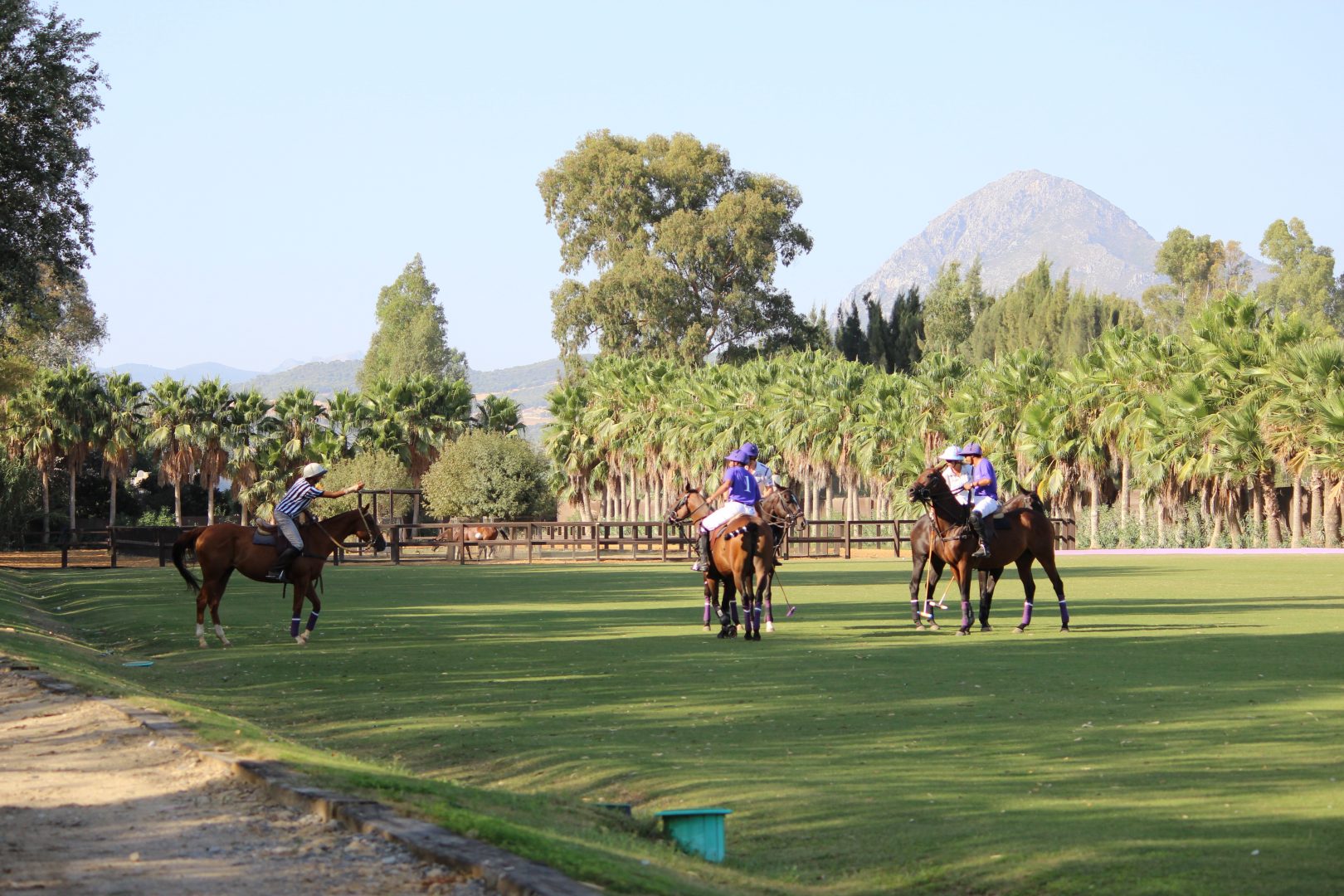 How to play polo on a budget - Horse & Hound
