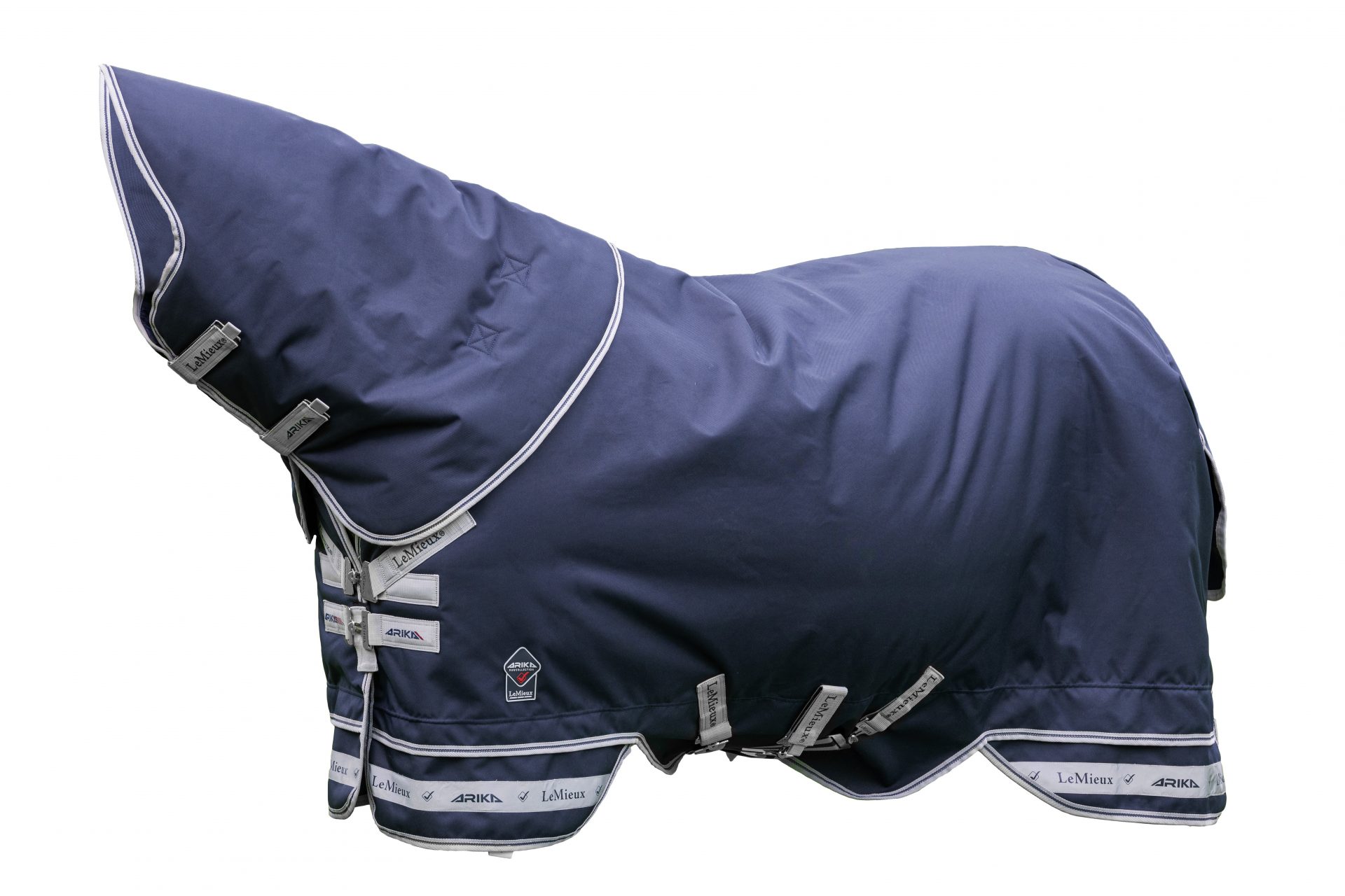 Best rain sheets for horses to protect from showers | Horse & Hound