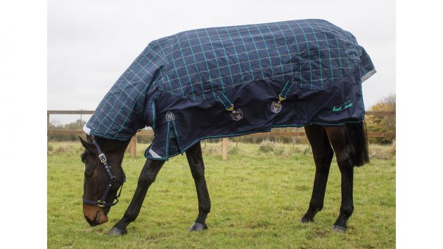 Best heavyweight turnout rugs for all budgets | Horse & Hound
