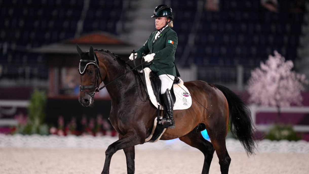 Tales from Tokyo: meet buckskin Lusitano stallion Celere