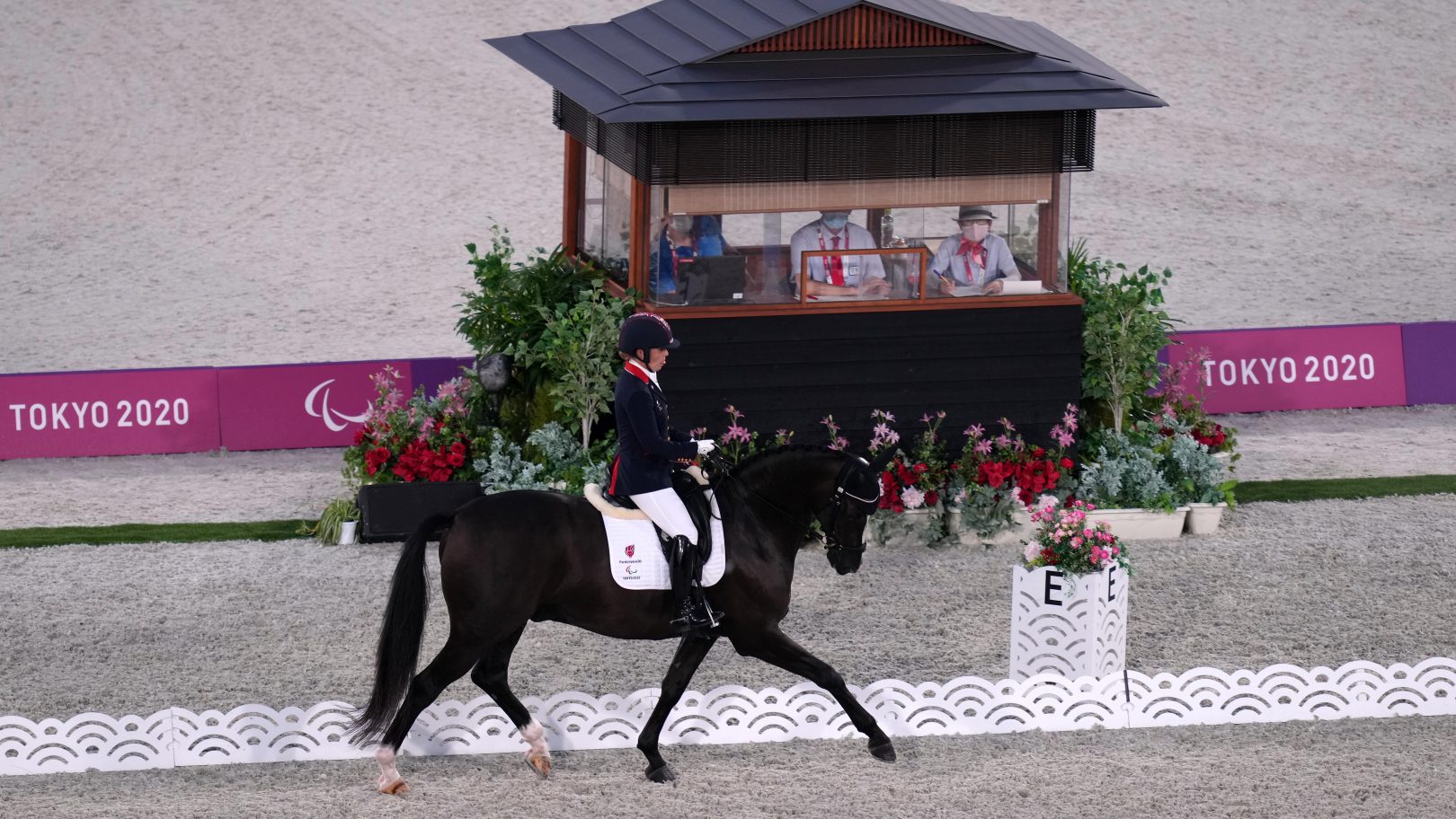 Meet Tokyo Paralympics dressage rider Philippa Johnson-Dwyer